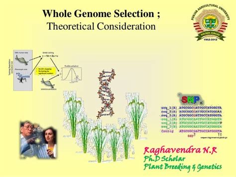 whole genome selection