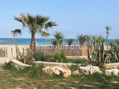 Affitto Appartamento San Benedetto Del Tronto Trilocale In Viale