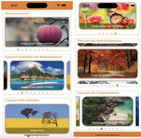 carouselview with indicatorview in xamarin forms learn mobile development