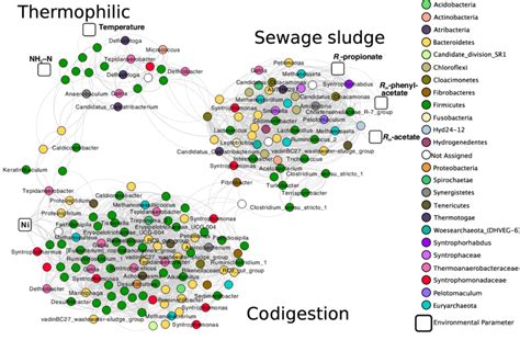 Co Occurrence Network Based On Correlation Of OTU Read Counts In 16S