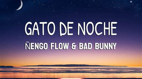 Engo Flow Ft Bad Bunny Gato De Noche Letra Lyrics Youtube