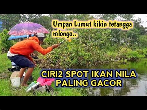 Mancing Tepat Di Sarang Ikan Nila YouTube