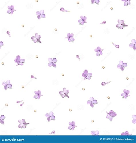 Fondo En Colores Pastel Con Las Flores De La Lila Ilustración del