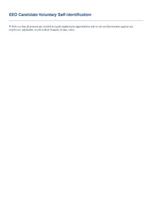 Fillable Online PI EEO Candidate Voluntary Self Identification Form