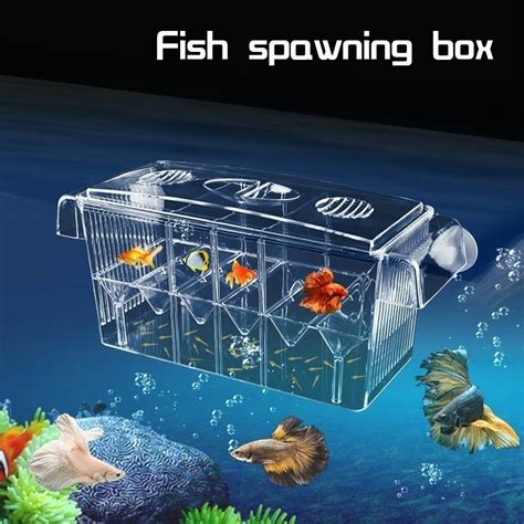 ODOMY Fish Breeding Box 4 Rooms Clear Acrylic Fish Tank For Breeding