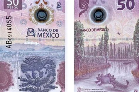 Billete de 50 pesos con imagen de ajolote es premiado RegeneraciónMX