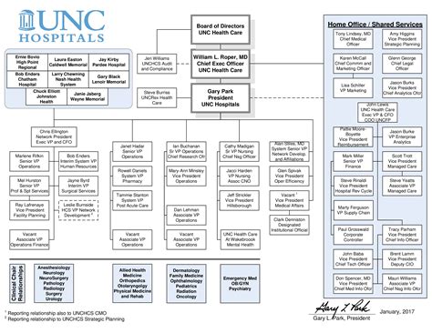 Large Hospital Organizational Chart How To Create A Large Hospital