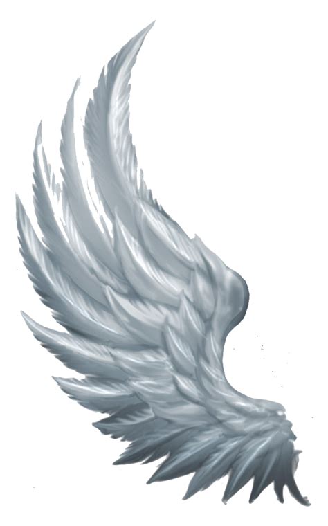 Wings Angel PNG All