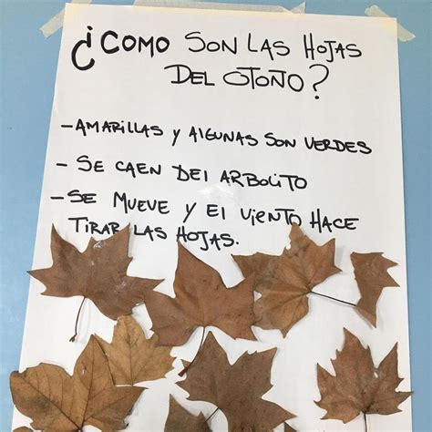Ni Mil Hojas Colegio Marianista San Agust N De Julio