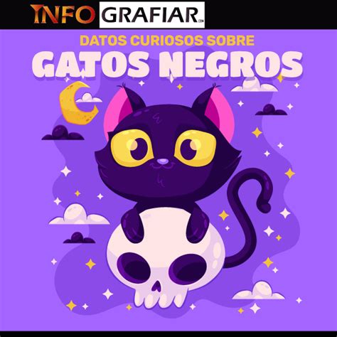 Datos Curiosos Sobre Los Gatos Negros Infografiar