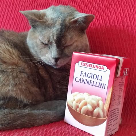 Esselunga Fagioli Cannellini Reviews Abillion