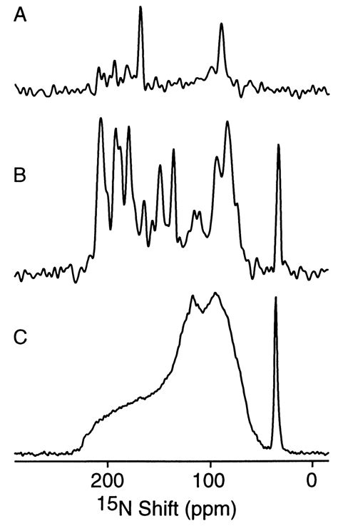 Complete Resolution Of The Solid State NMR Spectrum Of A Uniformly 15N