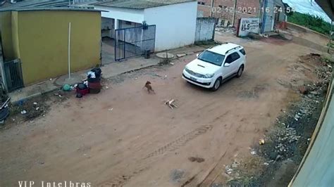 Vídeo Motorista avança carro e atropela cachorro na cidade de