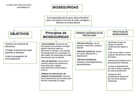 Mapa De Terminologia De Bioseguridad Bioseguridad Es La Seguridad The