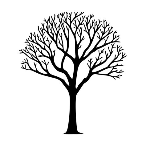 Premium Vector Tree Without Leaves Black Silhouette Black Branch Tree