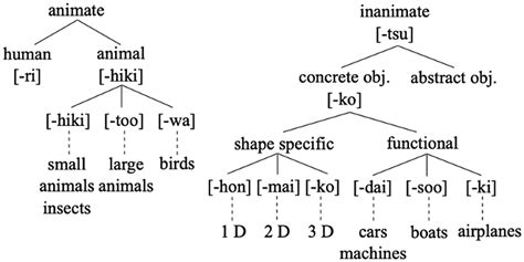the acquisition of the semantics of japanese numeral classifiers the methodological value of