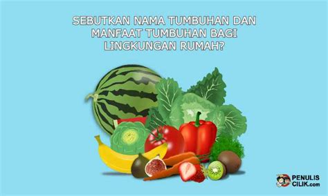 Nama Tumbuhan Manfaat Kelompok Homecare