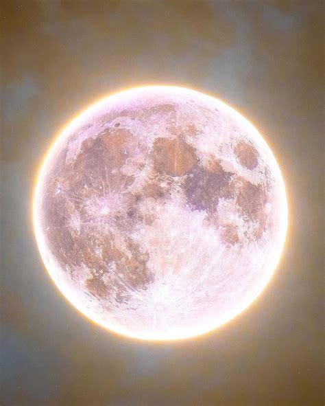 T Preguntas On Twitter Rt Tweetsforyoul Te Dedico La Luna Rosada