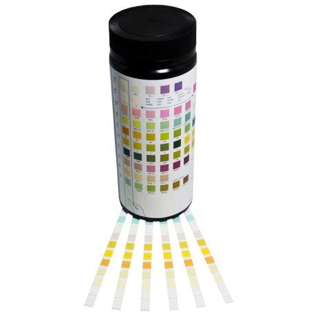 Urine Test Strip 10 Parameter 100 Pack