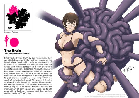 Rule 34 1girls 2023 Arms Held Back Big Breasts Black Bra Black Panties Blush Bra Breasts Brown