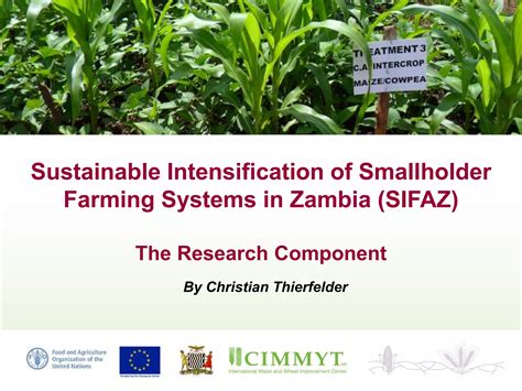 Sustainable Intensification Of Smallholder Farming Systems In Zambia Ppt