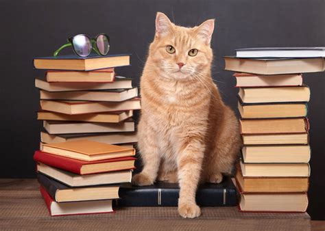 American Writers Museum On Twitter Today Is NationalPetDay We Want