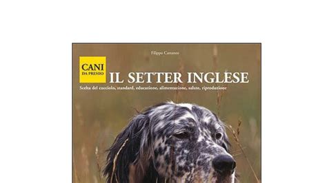 I 10 Migliori Libri Sui Cani Setter Notizie Scientifiche It