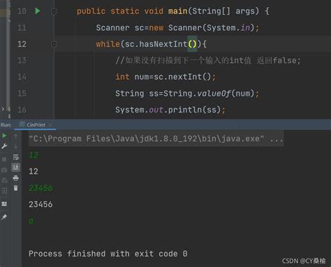 java——不同数据类型的输入输出方式与转化方式 java 输入种类 csdn博客