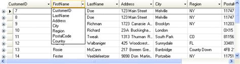 column swapping in rowlayout infragistics windows forms™ help