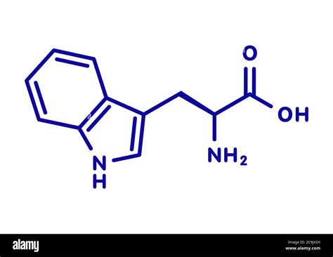 Tryptophan L Tryptophan Trp W Amino Acid Molecule Blue Skeletal