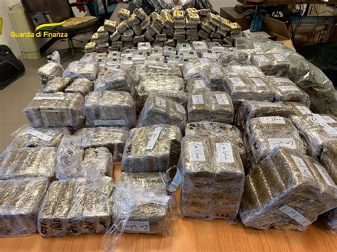 Traffico Internazionale Di Droga Arresti Anche In Puglia Noi Notizie