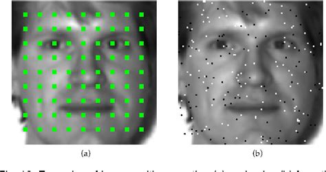 figure 1 from robust unsupervised feature selection via multi group adaptive graph