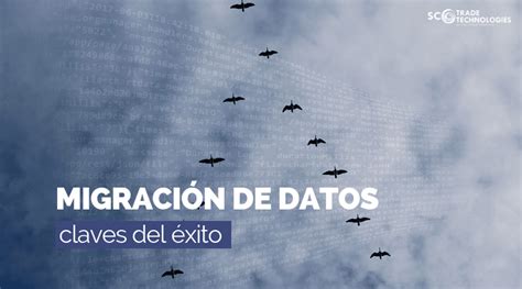 Claves para una migración de datos exitosa Blog SC Trade