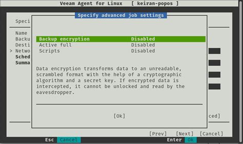 Backing Up With The Veeam Agent For Linux Ready Set Virtual