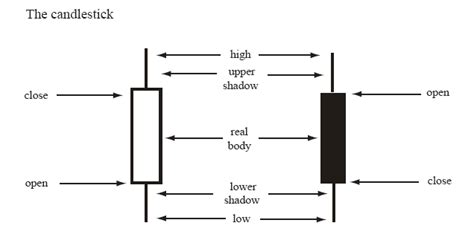 Forex Candlestick Basics Knowledge That Made Trading Easy