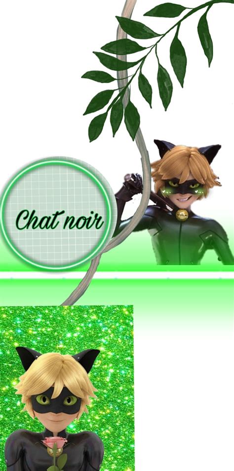 Chat Noir Cat Noir Cataclysm Miraculous HD Phone Wallpaper Peakpx