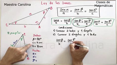 Ley De Los Senos YouTube
