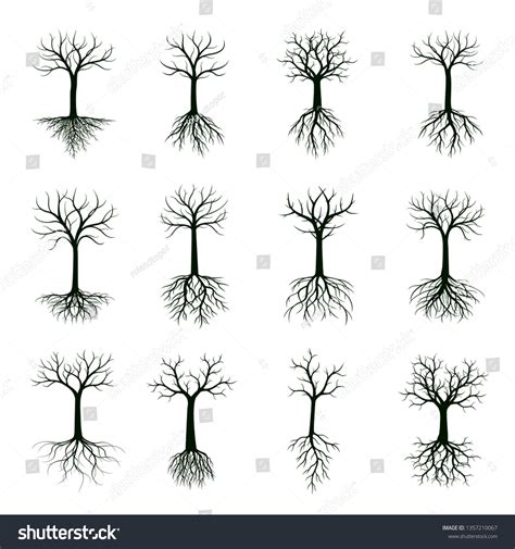 Set Black Naked Trees Roots Vector Stock Vector Royalty Free