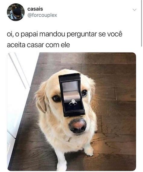 Pedido De Casamento Ideias Criativas E Surpresas