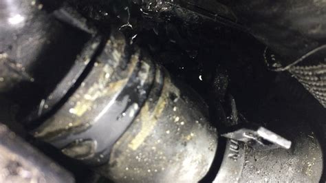 Mini Cooper Coolant Leak Mini Cooper Cars