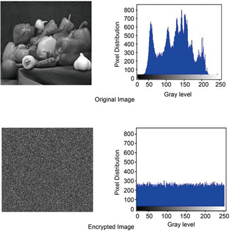 a new image watermarking scheme using genetic algorithm and residual numbers with discrete