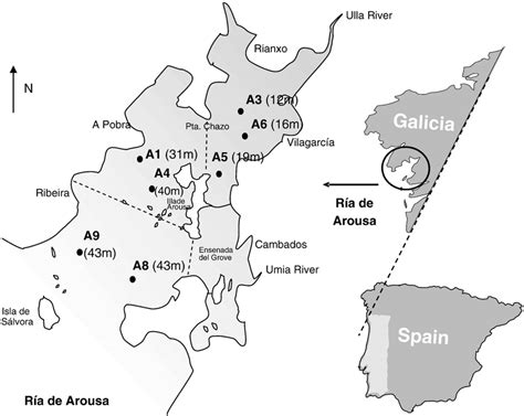 pecho petróleo crudo Contar ria de arousa mapa aluminio biología heredar