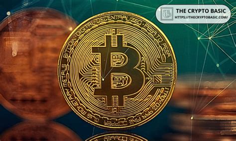 CryptoQuant CEO Says Im Sorry Bears As Bitcoin Still In Bull Cycle