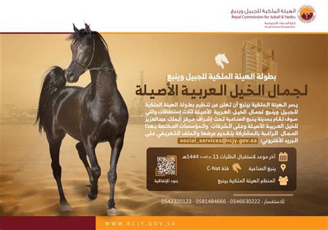 إدارة الخدمات الاجتماعية بينبع الصناعية on Twitter إعلان يسر الهيئة