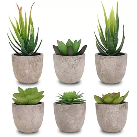 Plantas Suculentas Artificiales Macetas Verdes Conjunt MercadoLibre