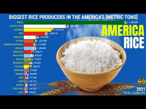 Os Maiores Produtores De Arroz Das Am Ricas Geografia Total