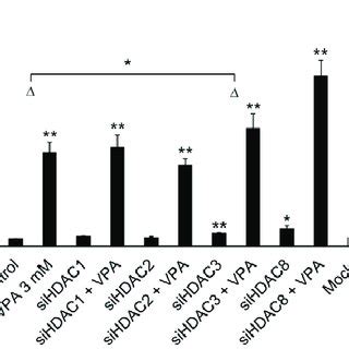 Sirna Mediated Knock Down Of Class I Hdacs T Pa Mrna Expression In