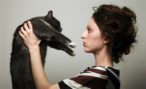 Cómo coger a un gato Noti Gatos