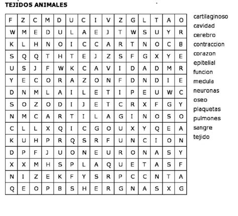 elabora una sopa de letras donde incluyas 15 términos con tejidos