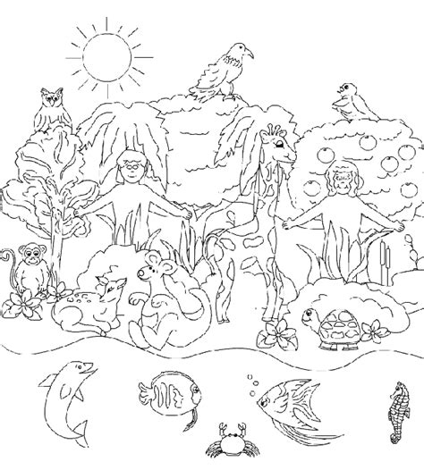 Dibujo De La Creacion Para Pintar Dibujos Cristianos Para Colorear